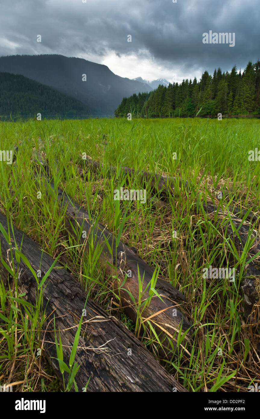 Stormy afternoon at Baker Lake, Mount Baker-Snoqualmie National Forest ...