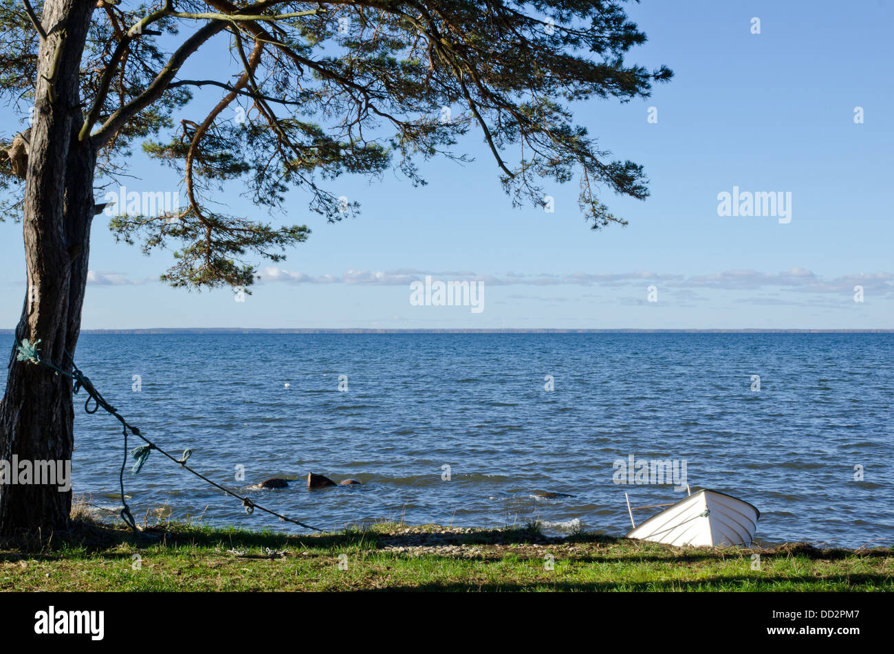 Boat tied to tree hi-res stock photography and images - Alamy