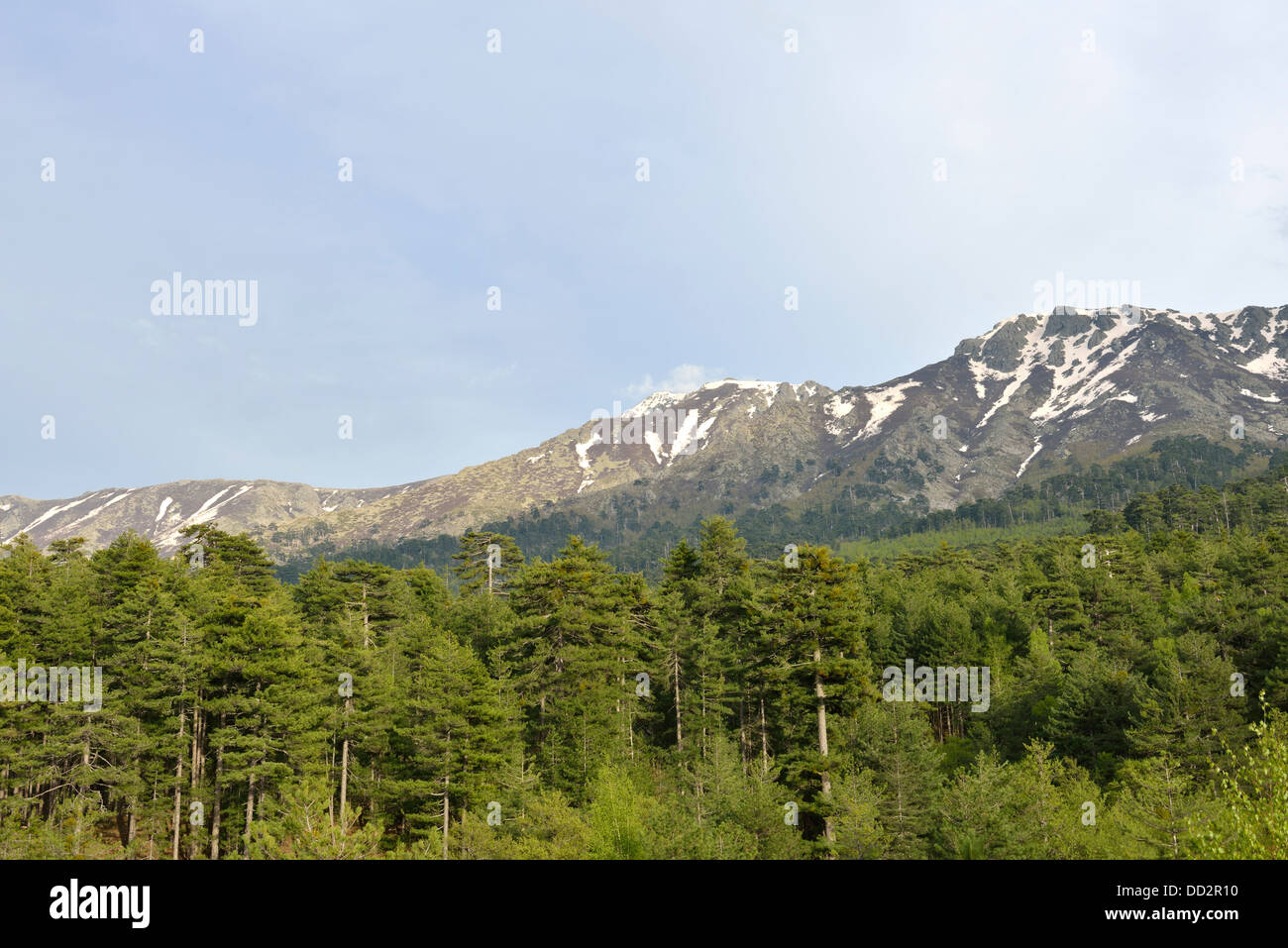 Niolo Corsica Stock Photos & Niolo Corsica Stock Images - Alamy