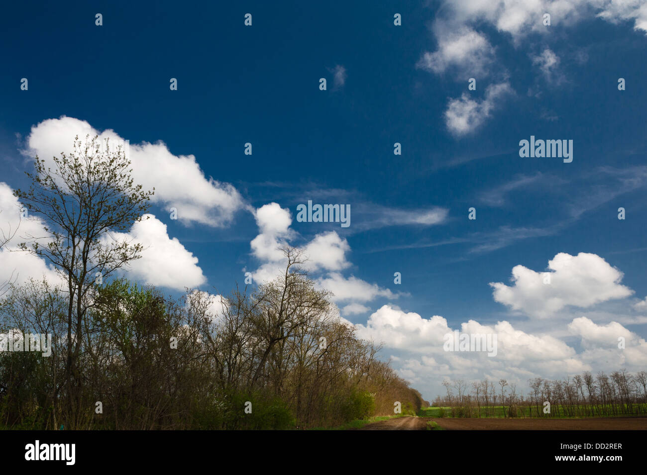 Beautiful landscape unpaved road hi-res stock photography and images ...
