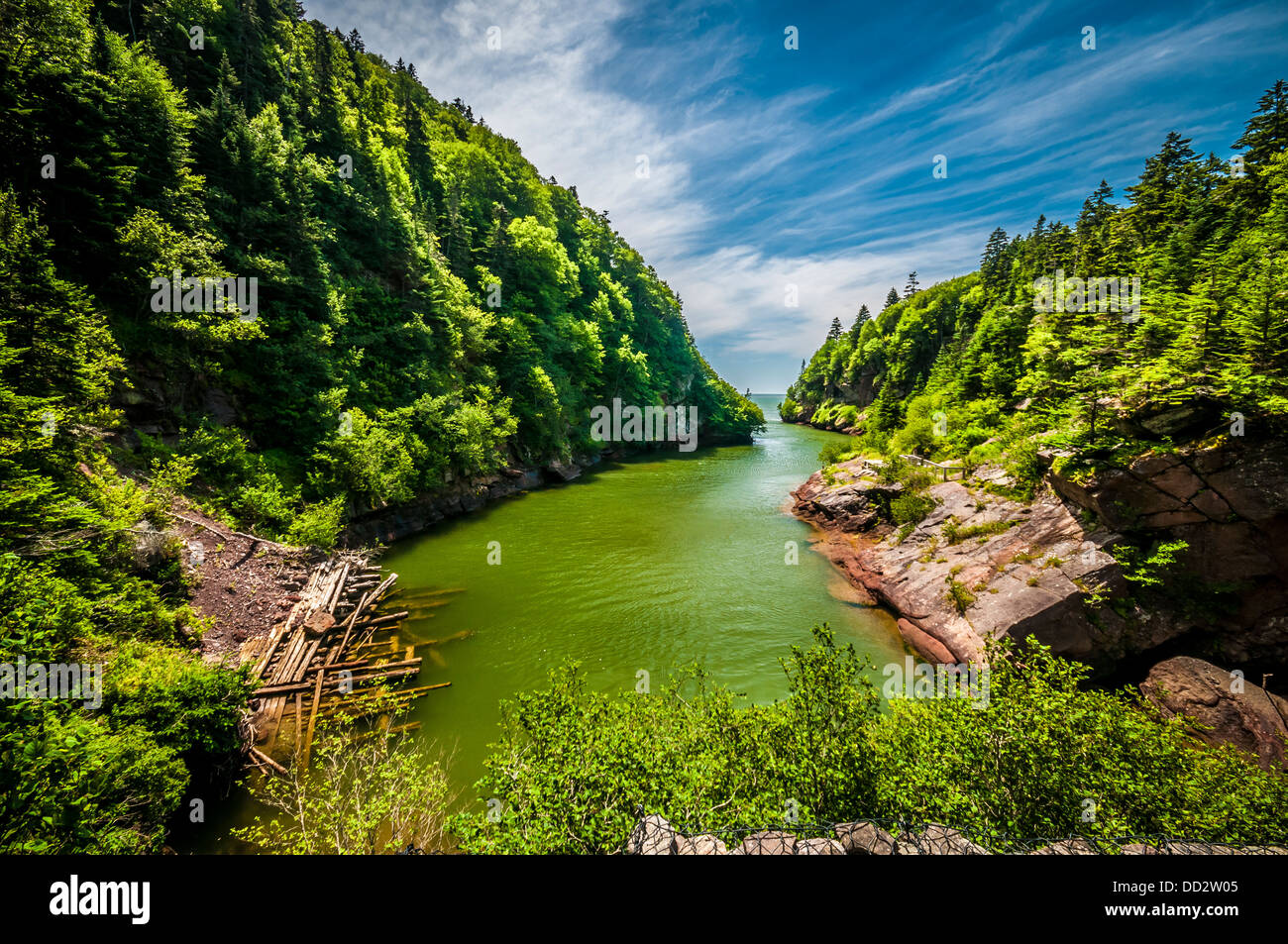 Wolf River Canyon High Resolution Stock Photography and Images - Alamy