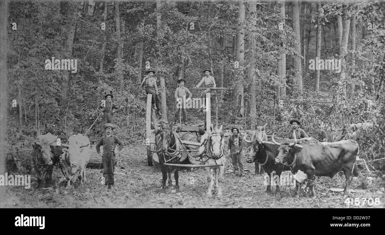 A photograph depicting a logging scene, showcasing workers in the ...