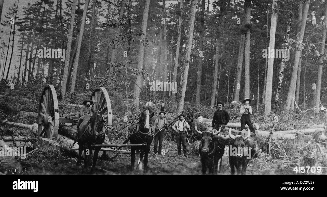 A logging scene shows workers engaged in timber harvesting, depicting ...