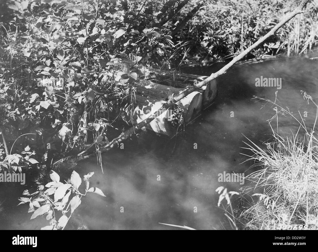 Stream cover hi-res stock photography and images - Alamy