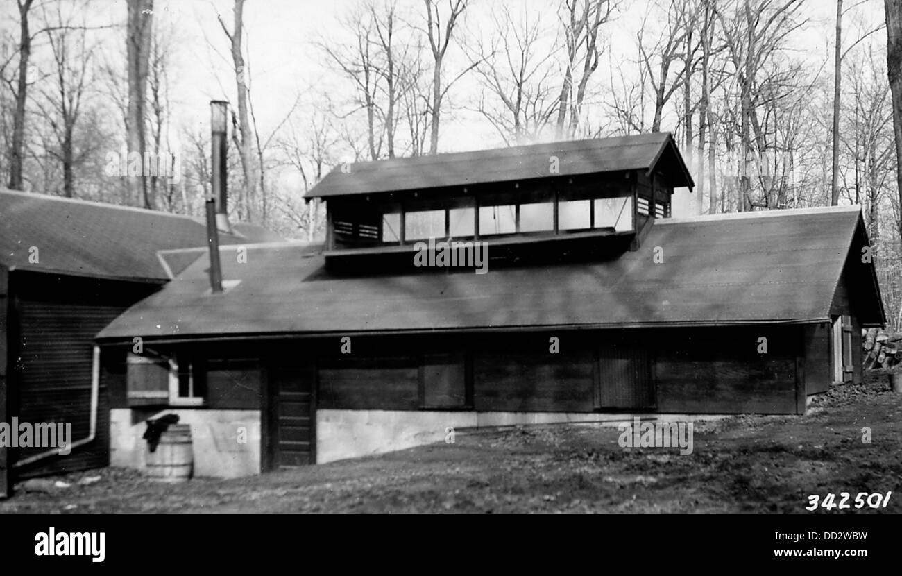 This image shows modern equipment used in the production of maple sap ...