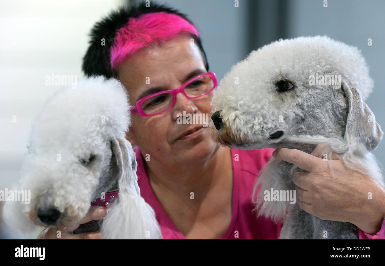 Edith The Fair High Resolution Stock Photography and Images - Alamy