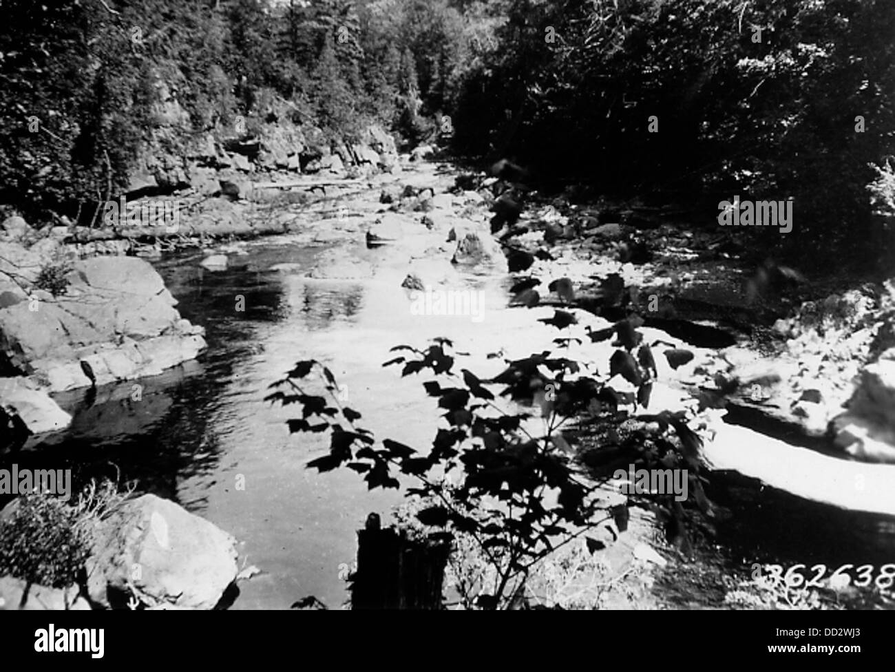 Camping area near lake view Black and White Stock Photos & Images - Alamy