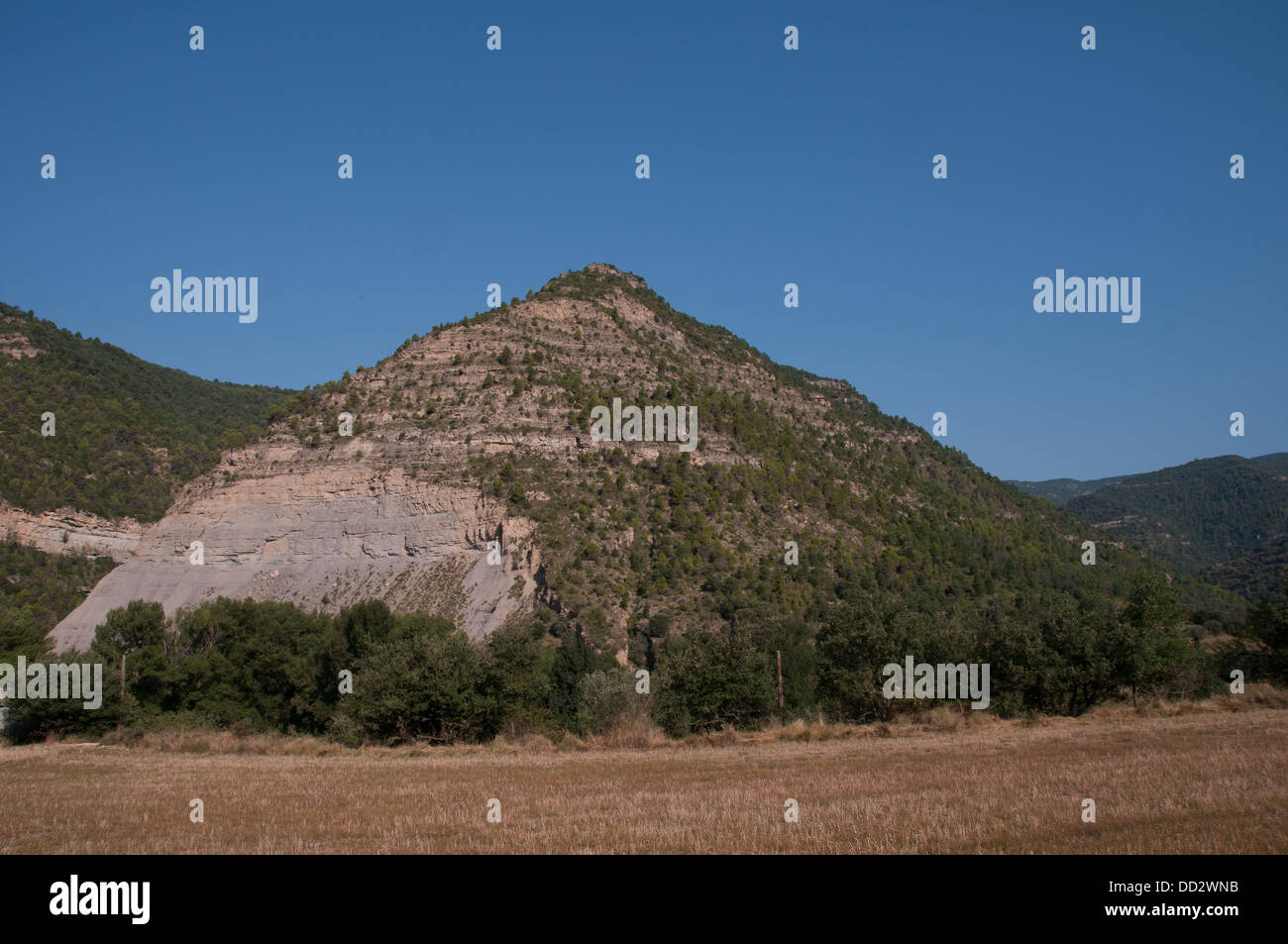 Analogy hi-res stock photography and images - Alamy