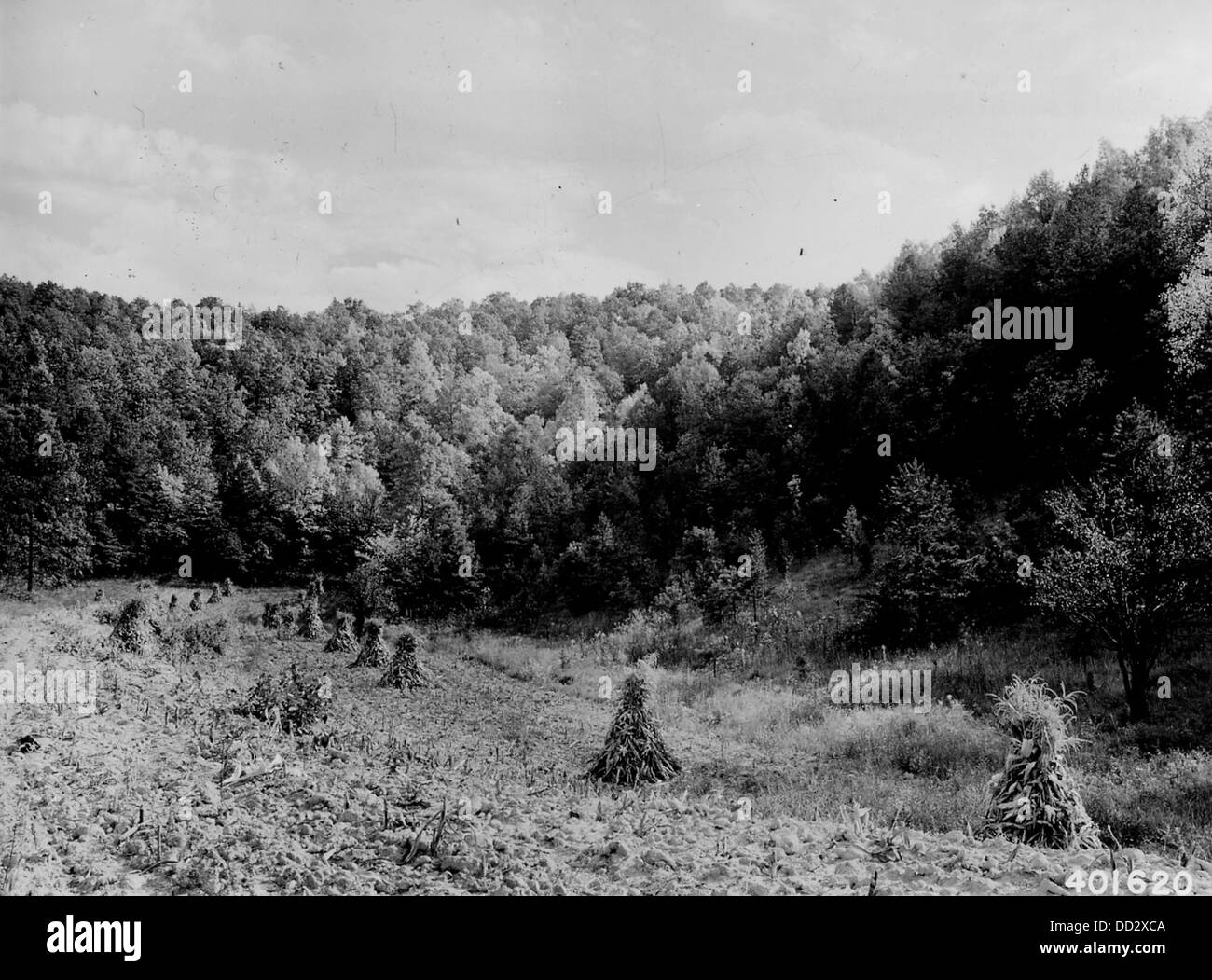 Poor crop Black and White Stock Photos & Images - Alamy