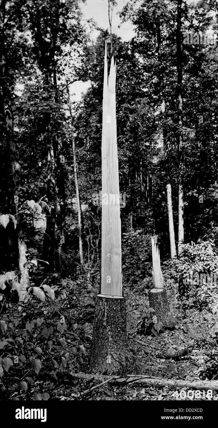 Technique history Black and White Stock Photos & Images - Alamy