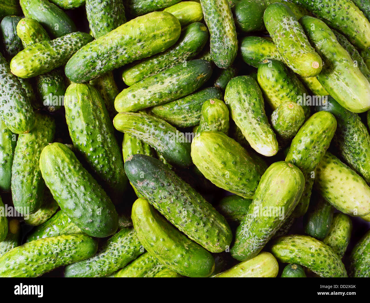 Cucumbers pile hi-res stock photography and images - Alamy