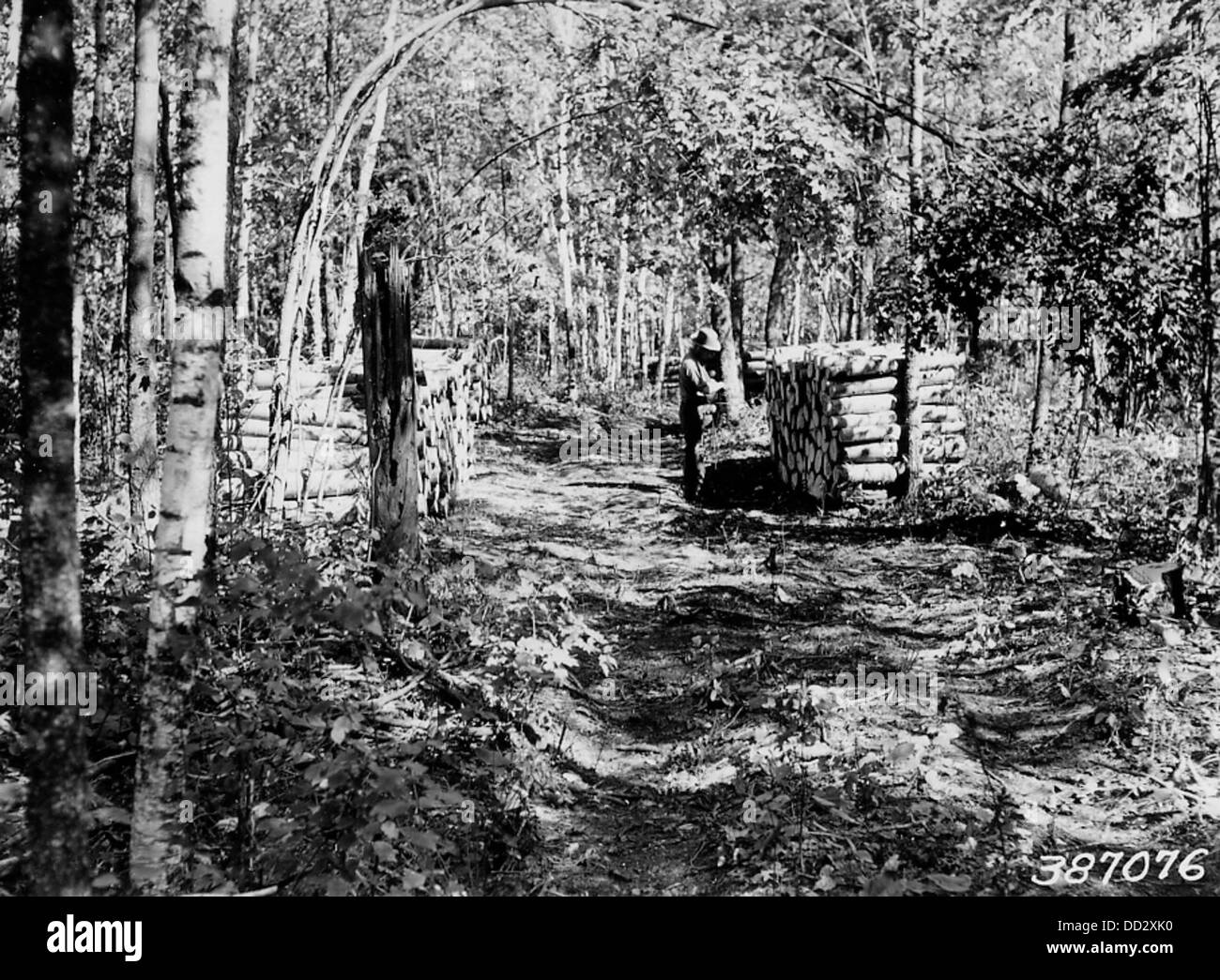 G wilson hi-res stock photography and images - Alamy