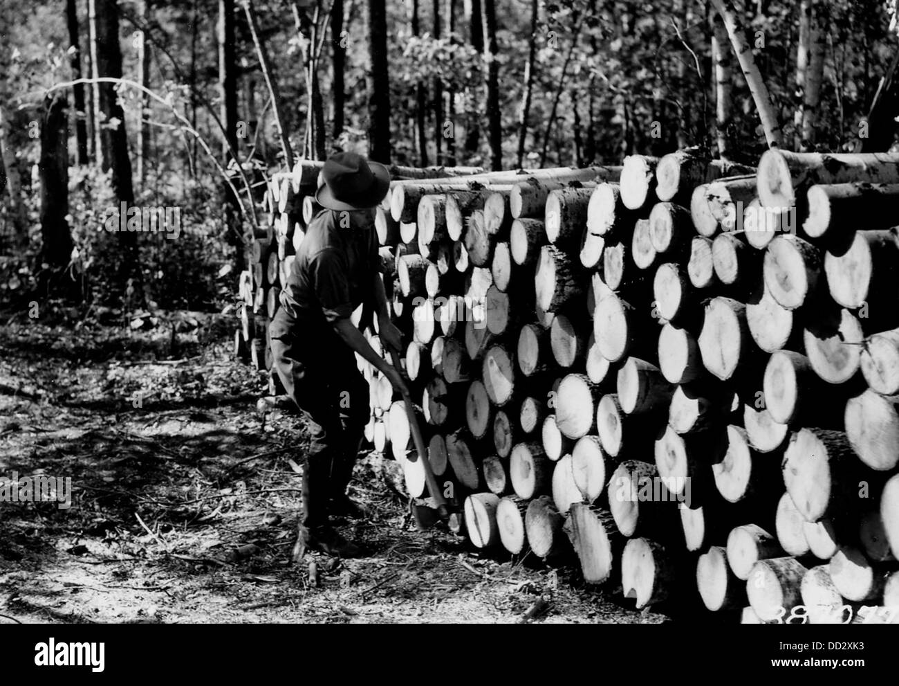 G wilson Black and White Stock Photos & Images - Alamy