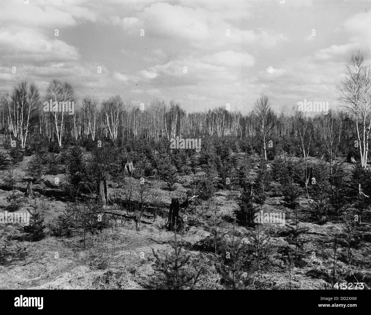 A photograph of Riley Lake Plantation, a historical site depicting ...