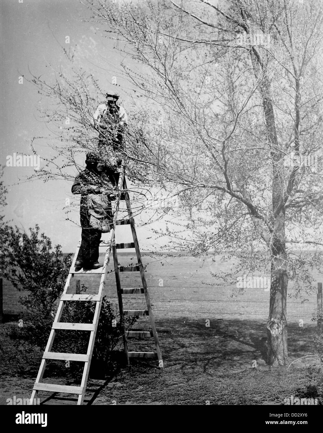 Rills erosion hi-res stock photography and images - Alamy