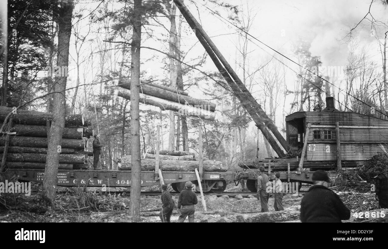 This image depicts sawlogs being loaded onto a flat car using a steam ...