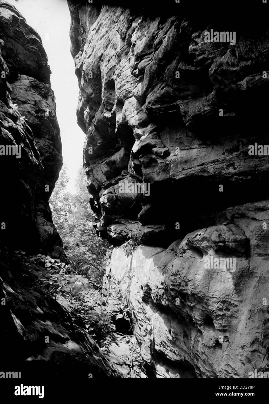 A scenic view along the trail surrounding the High Knob Recreation Unit ...