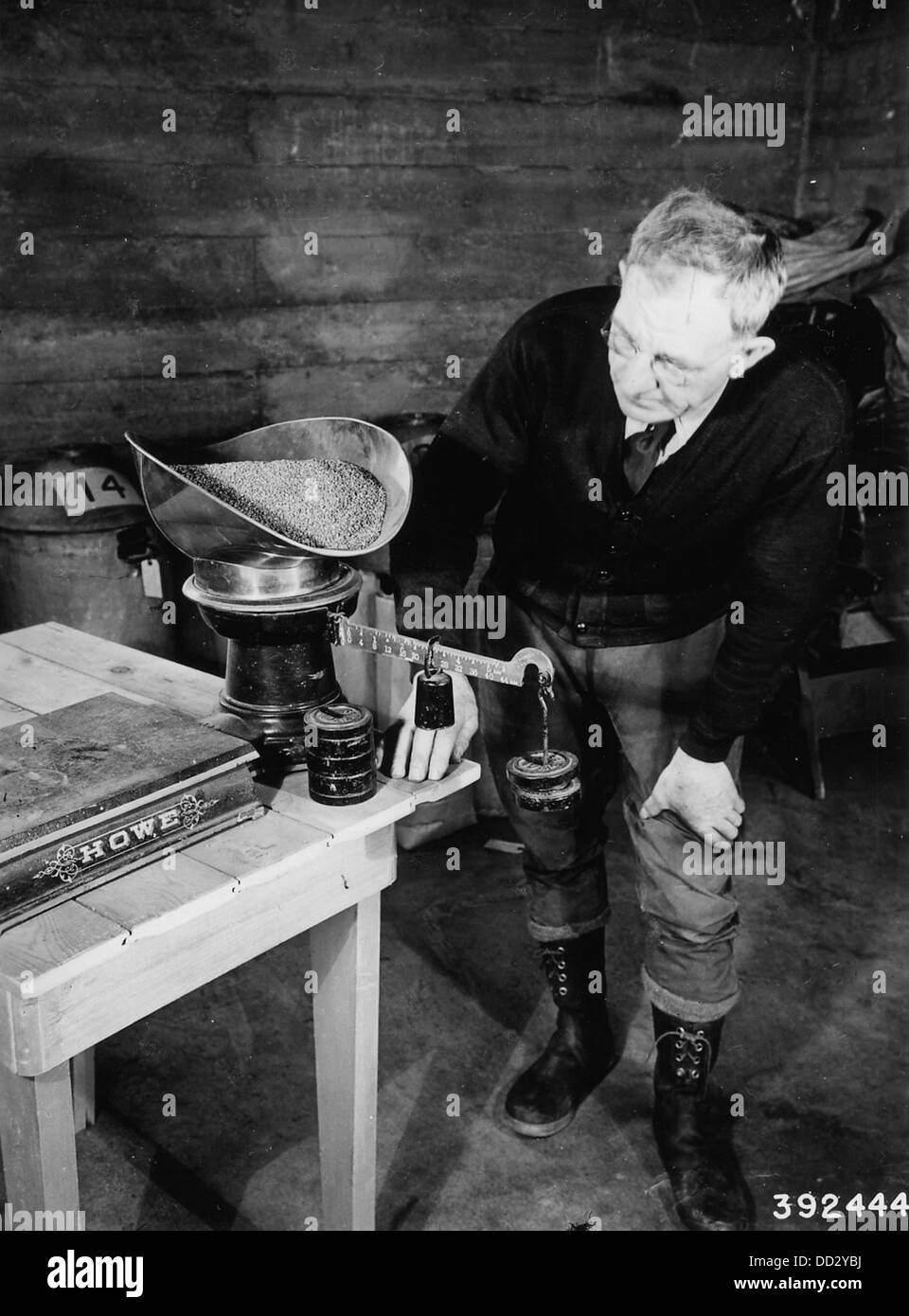 This image shows the process of seed cleaning and weighing, a crucial ...