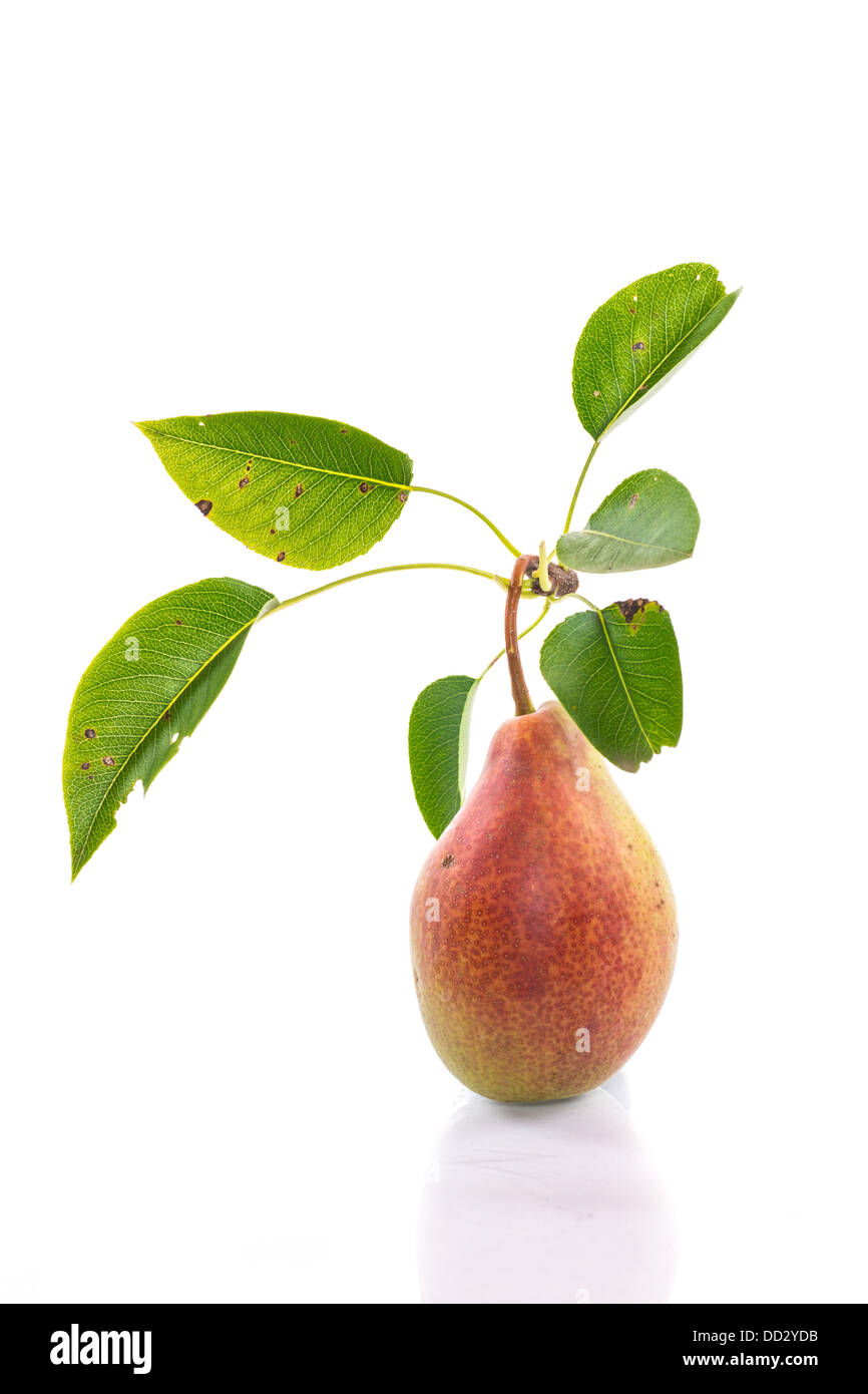 ripe juicy pear on a white background Stock Photo - Alamy