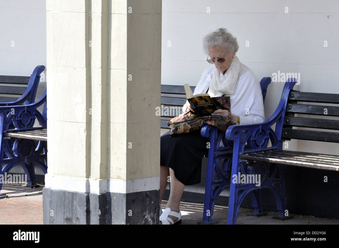 Female senior citizen reading book in the shade Stock Photo - Alamy