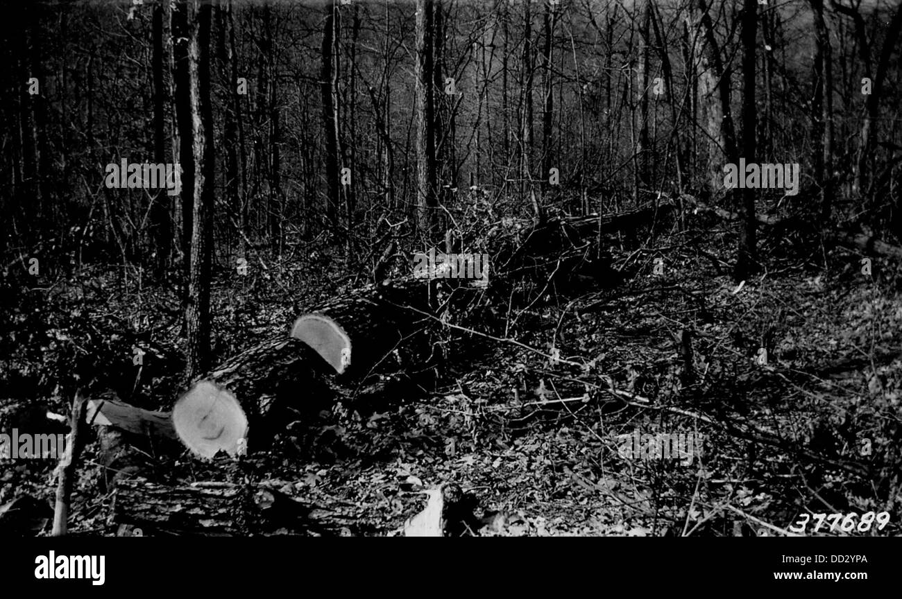 Gradually change Black and White Stock Photos & Images - Alamy