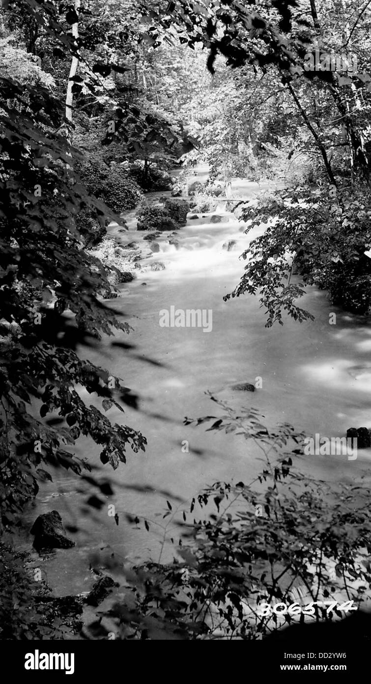A scenic view of Spring Branch between two outlets, capturing the flow ...