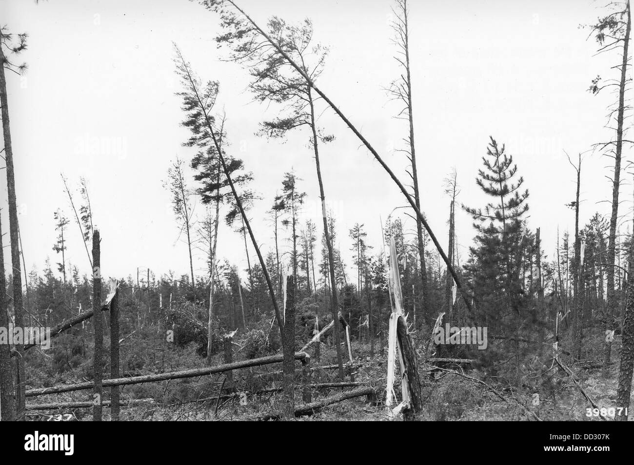 The photograph shows the aftermath of storm damage. Structures and ...