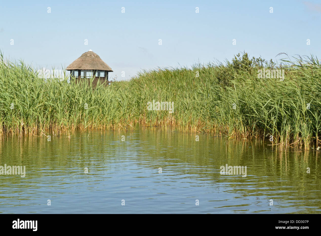 Bird observation tower at Hickling Broad, Norfolk, UK, Broads National ...