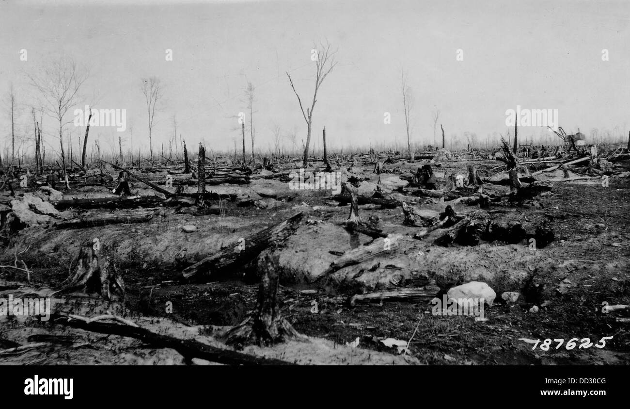 October fire Black and White Stock Photos & Images - Alamy