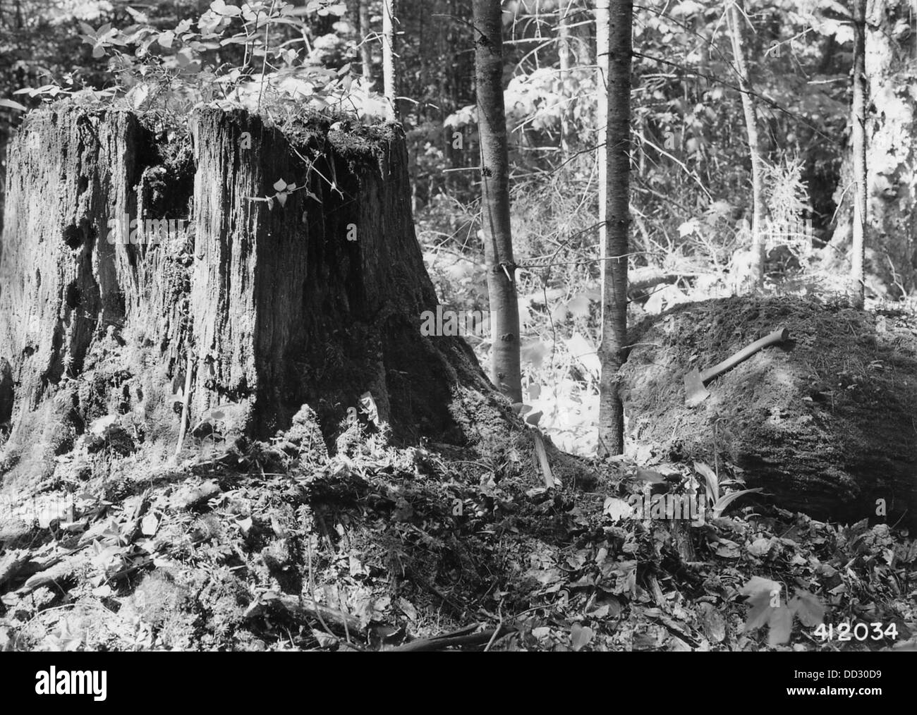 Nepco hi-res stock photography and images - Alamy