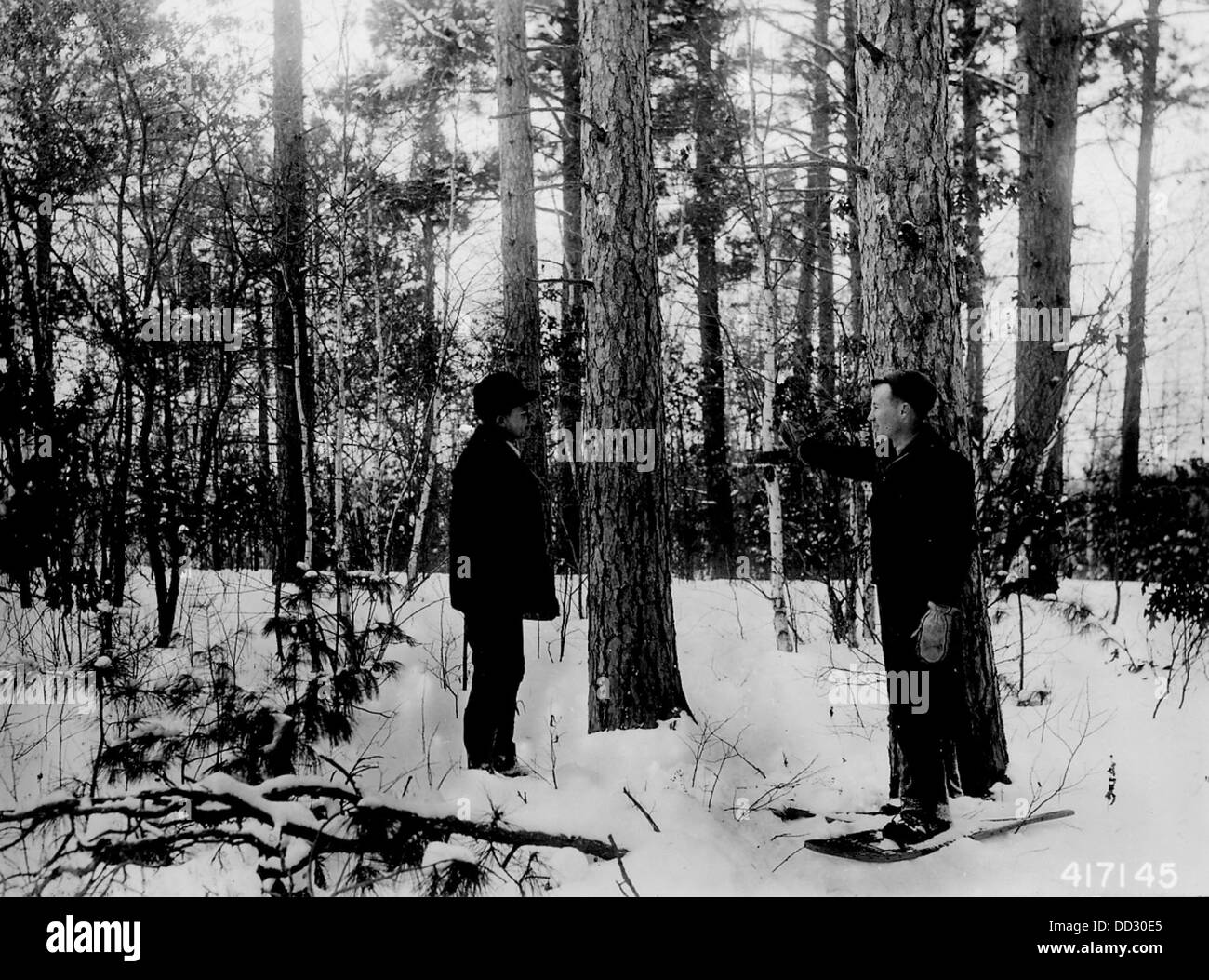 A timber sale operator inspects the boundaries of a timber sale to ...