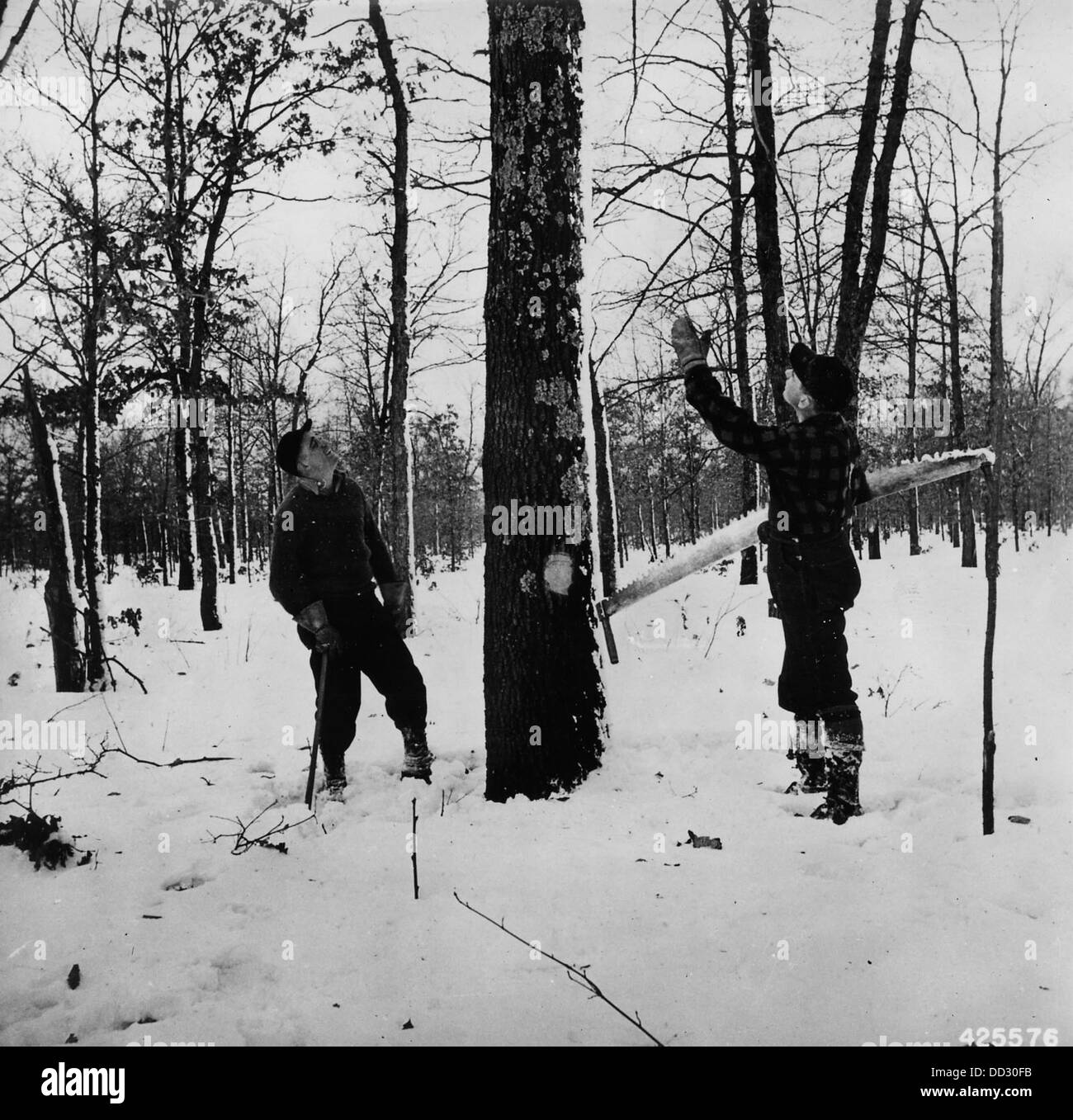 Railway railroad cutting Black and White Stock Photos & Images - Alamy