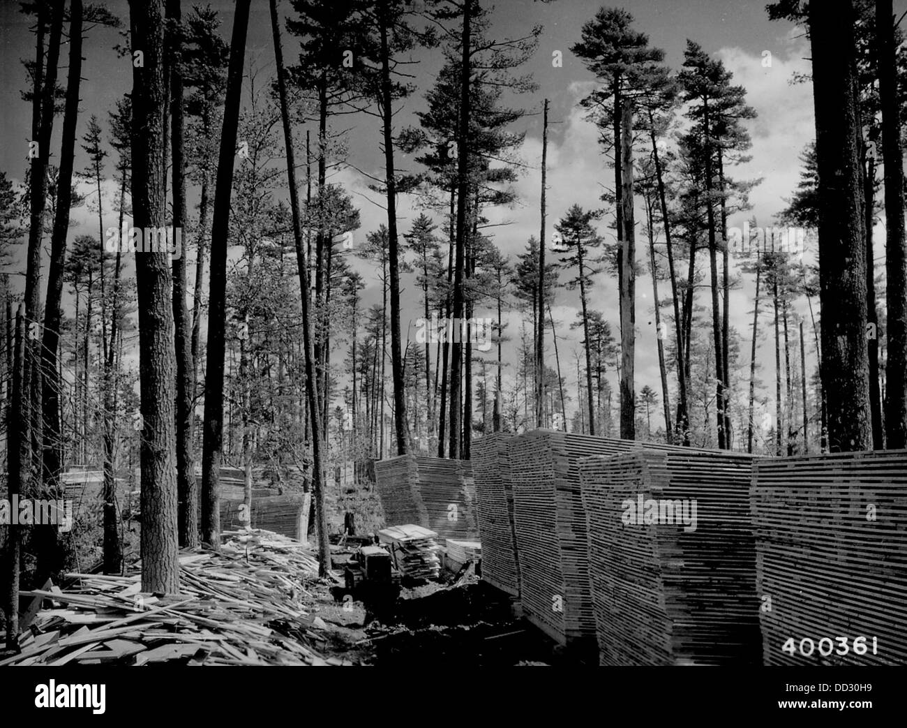 A tractor pulls a sled loaded with graded lumber, a common activity in ...