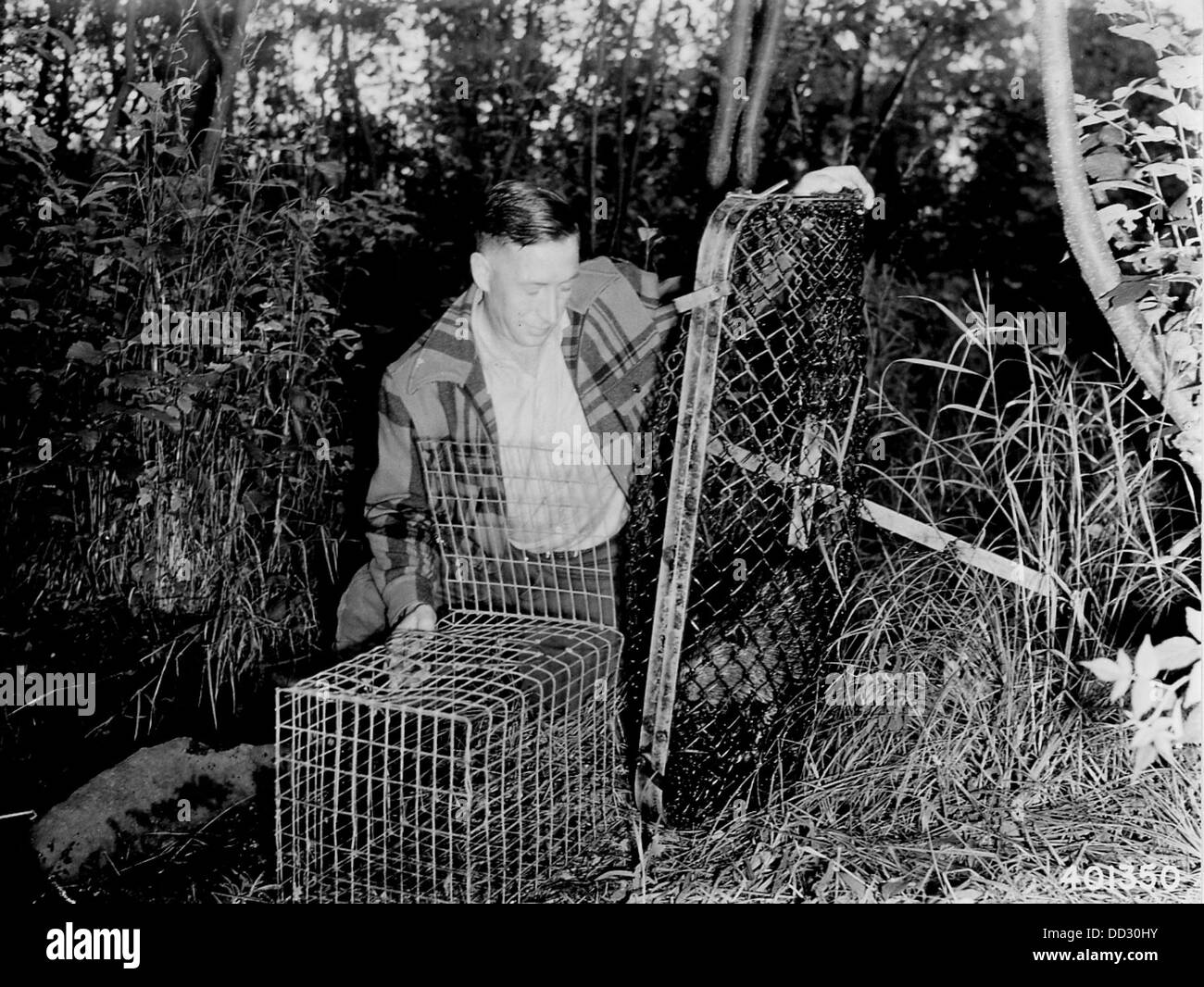 Beaver trap old hi-res stock photography and images - Alamy