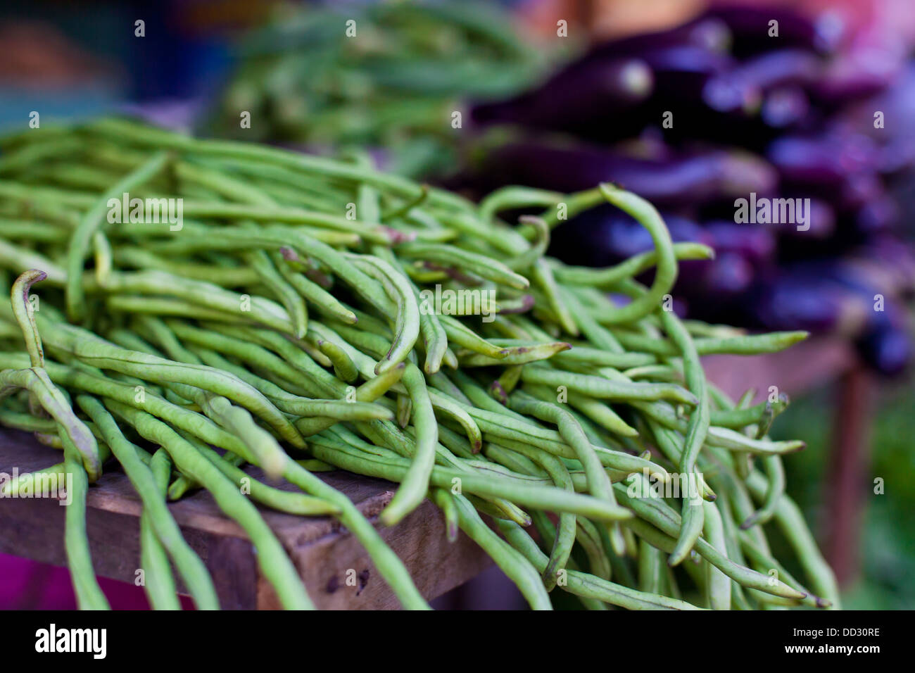 Sparrow grass hi-res stock photography and images - Alamy