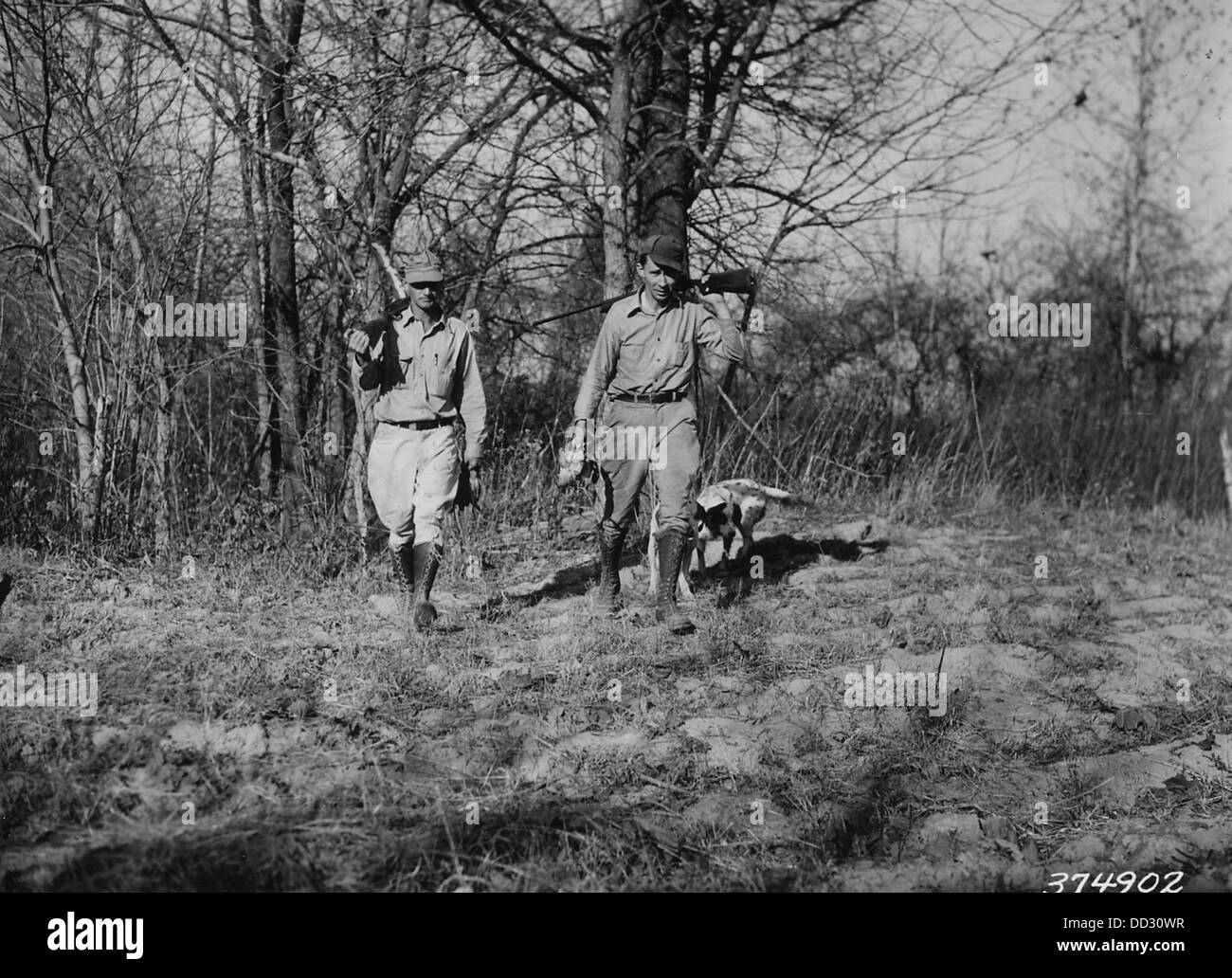 A photograph of two men hunting quail, showing an outdoor activity ...