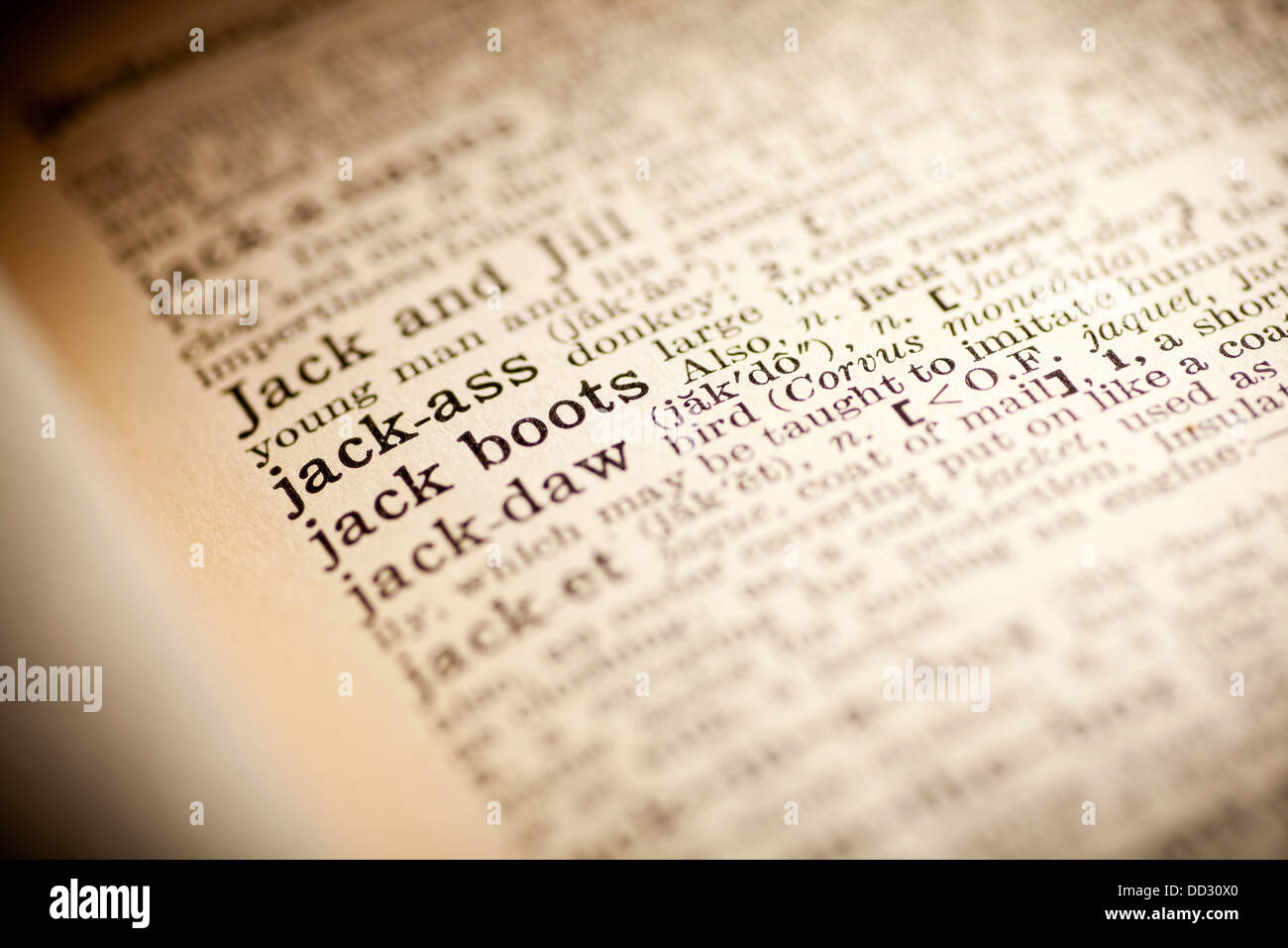 Dictionary word jackass Stock Photo - Alamy