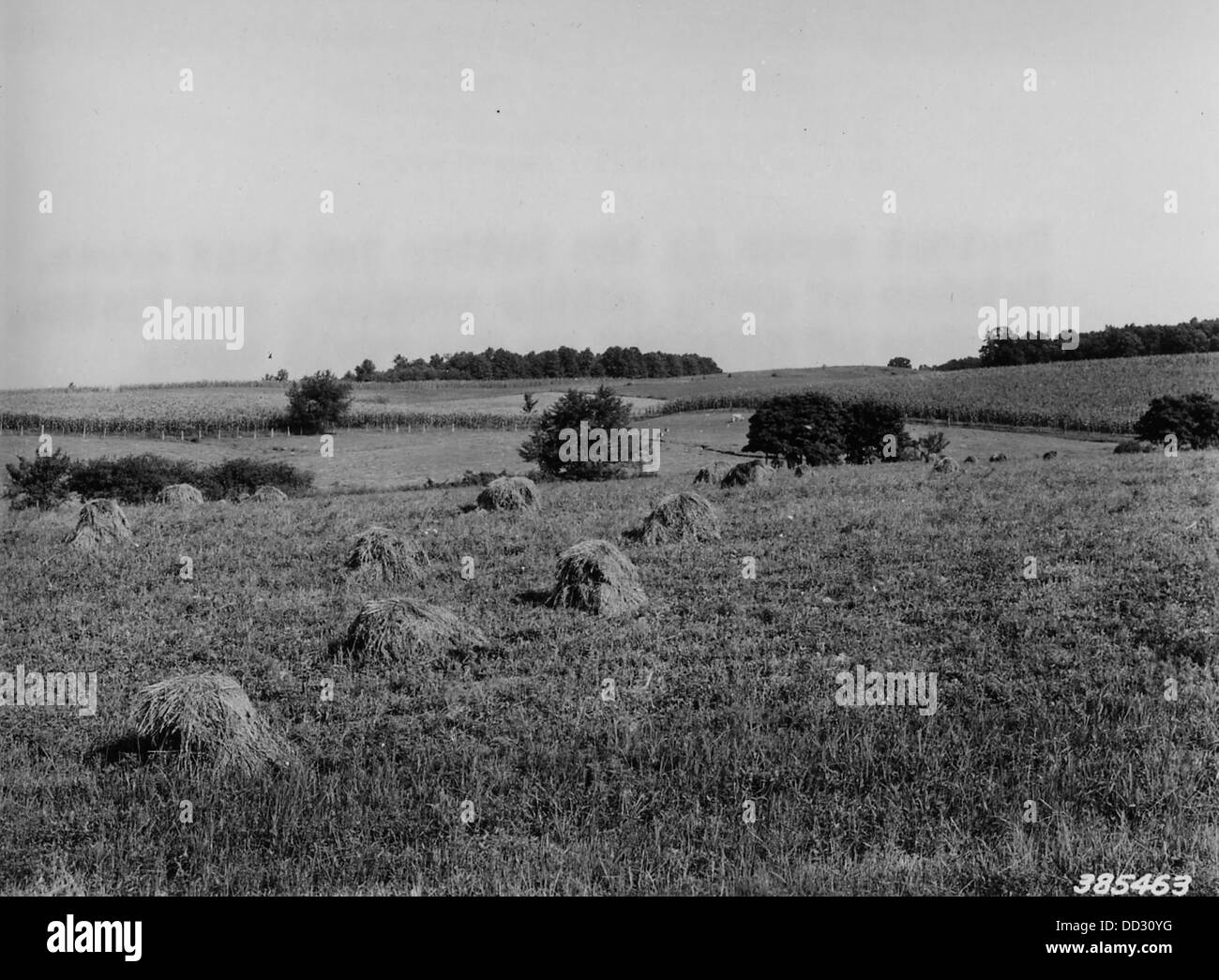 This photograph depicts a typical scene in lowland areas, showing well ...