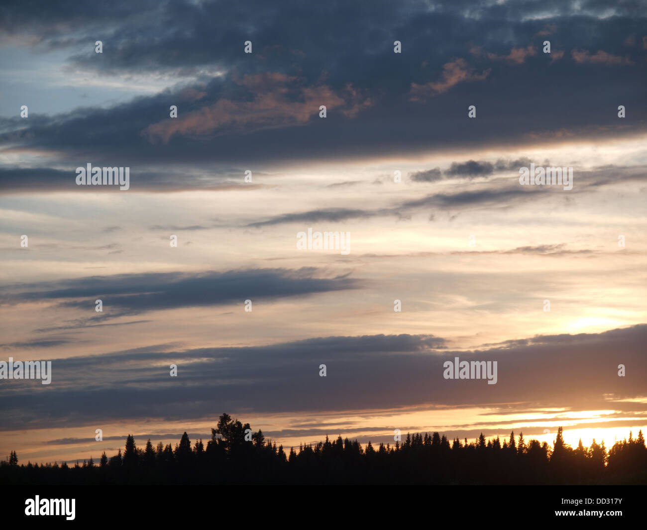 Decline above a wood. Russia Stock Photo - Alamy