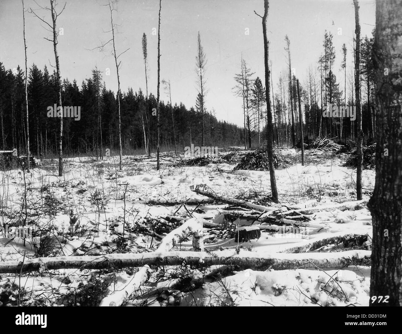 Old historic logging history Black and White Stock Photos & Images - Alamy