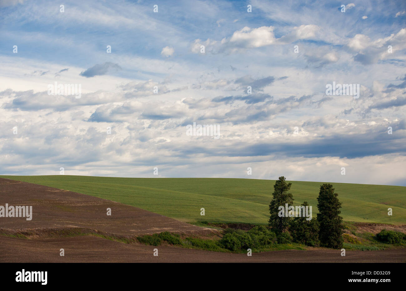 Big sky landscape of the Palouse farming region in SE Washington State ...