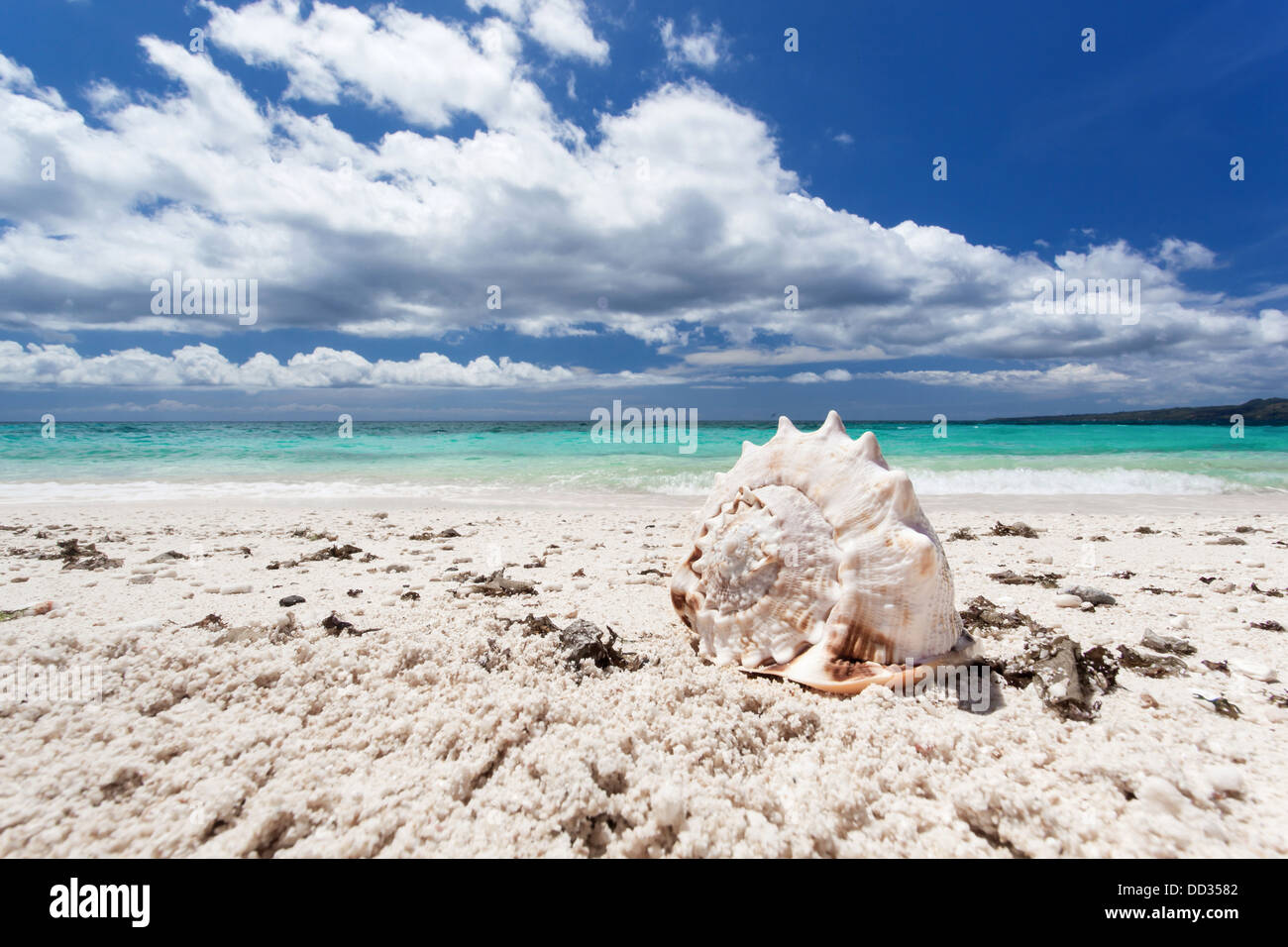 Philippines beach shell hi-res stock photography and images - Alamy