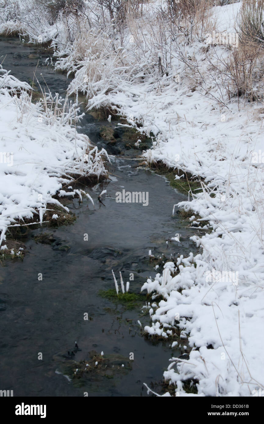 Small, creek running through a snow field with grass and bushes covered ...