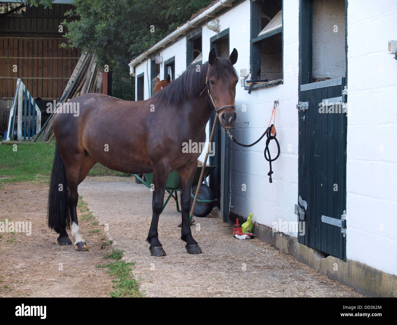 Outside stable hi-res stock photography and images - Alamy