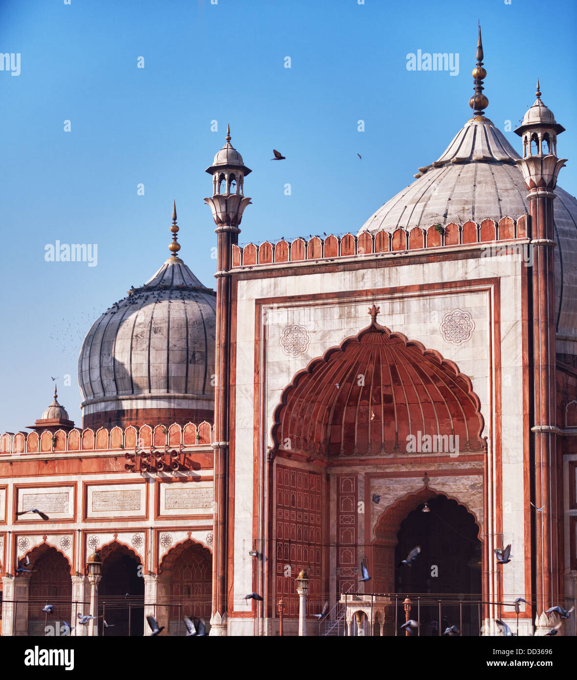 Jama Masjid Mosque Delhi India