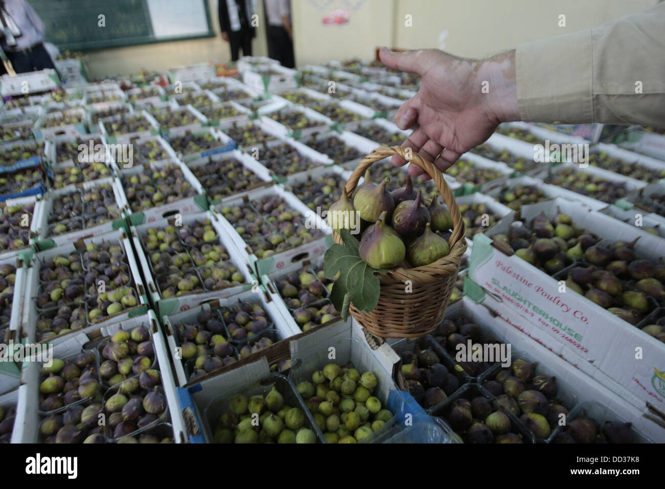 Aug. 24, 2013 - Nablus, West Bank, Palestinian Territory - Palestinian ...