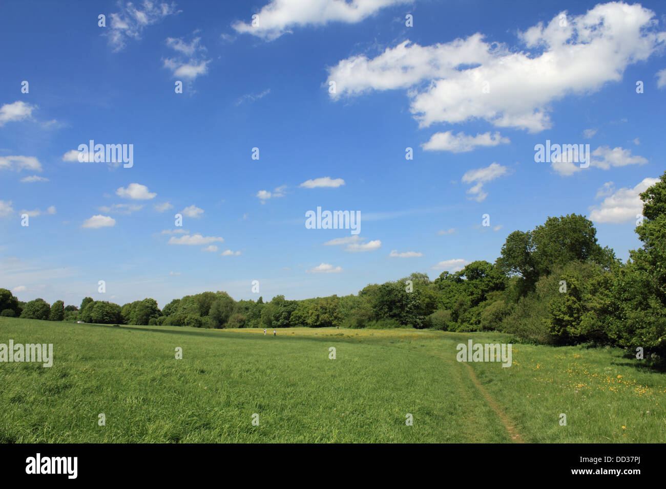 The village of Mickleham between Dorking and Leatherhead, Surrey ...