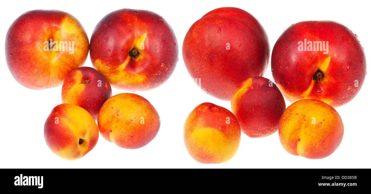 set of red and yellow ripe nectarines isolated on white background ...