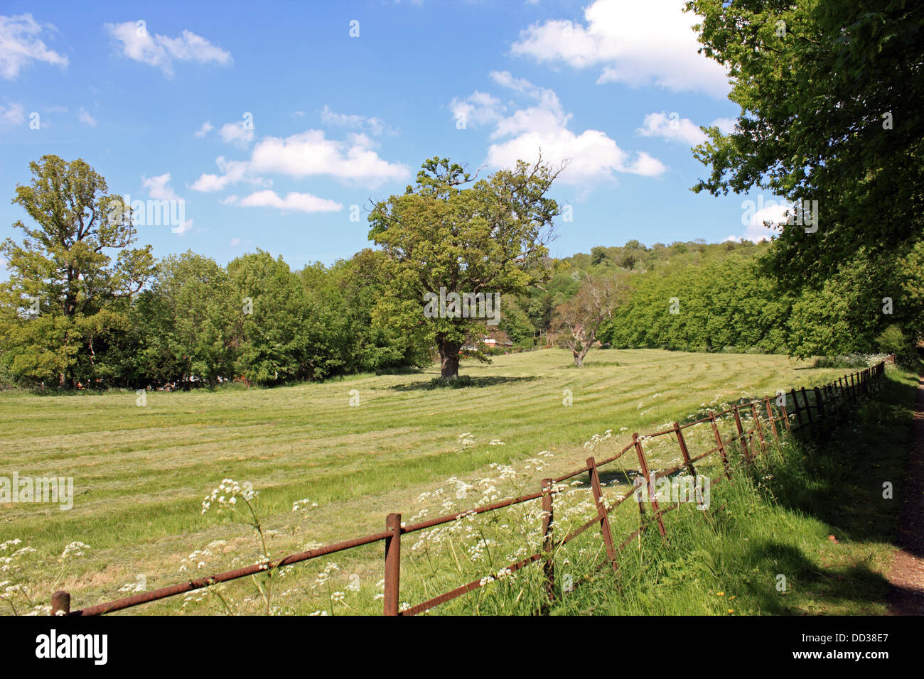 Mowed grass field in the village of Mickleham between Dorking and ...