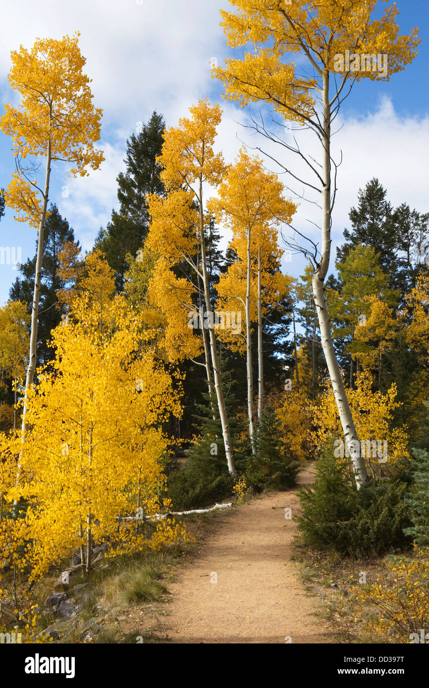 Sangre de cristo mountains hike hi-res stock photography and images - Alamy